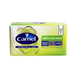 Camel Soap 6pcs